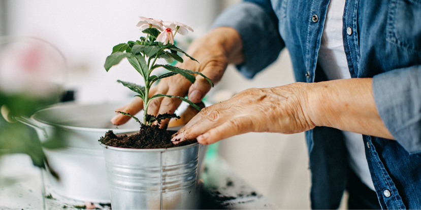 Orthopedics & Sports Rehab | Healthcare Services in Frederick County, MD